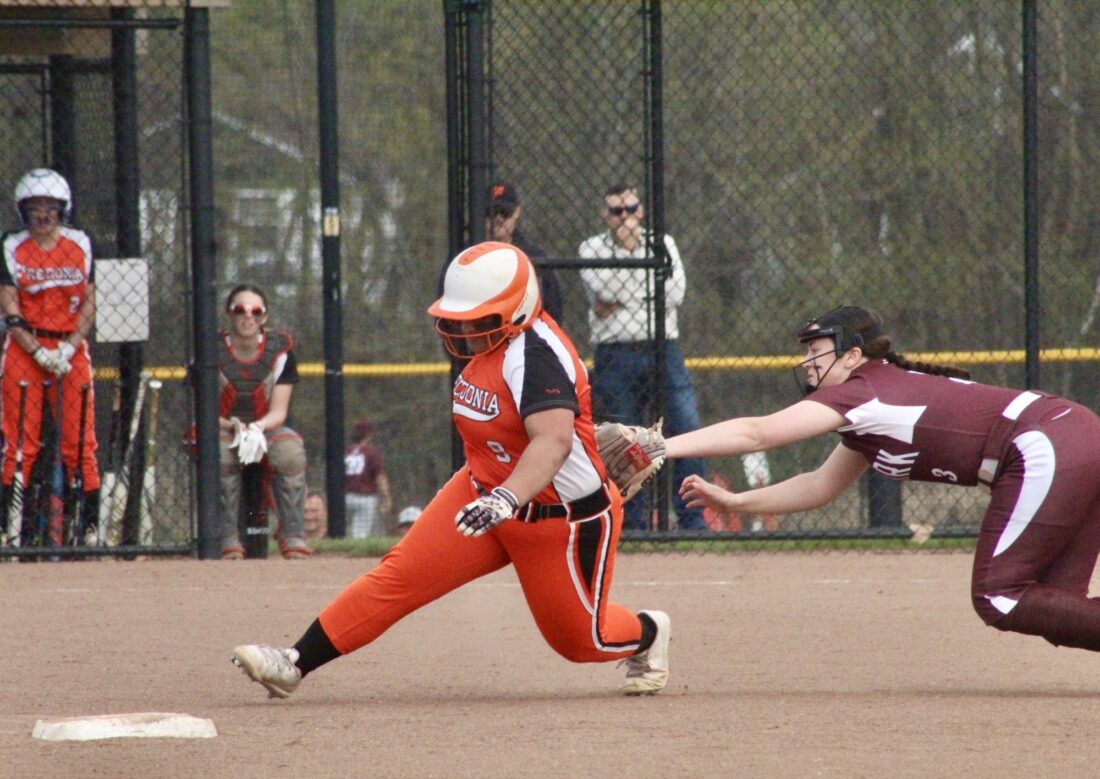 Wild one | News, Sports, Jobs - Observer Today